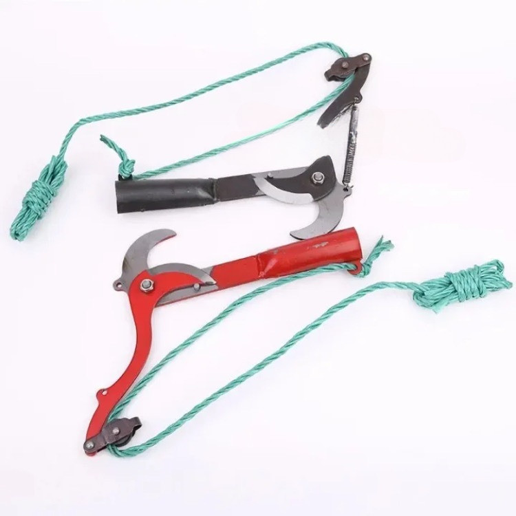 High-Altitude Tree Pruning Shears – Long Reach Branch Cutter & Fruit ...