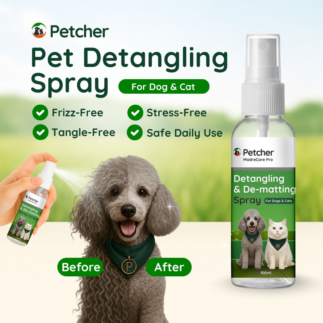 Petcher Pet Detangling and Dematting Spray 100ml Tangle Free & Easy ...