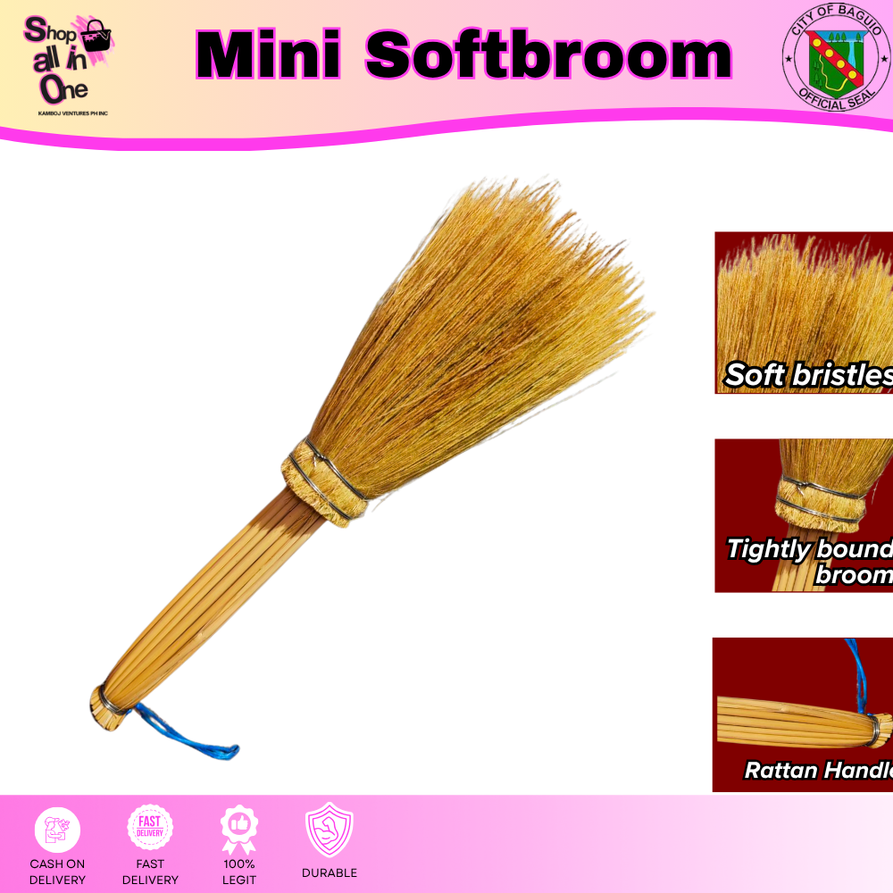 shopallinone MINI WALIS broom Walis Duster Pang-agiw Small Broom ...