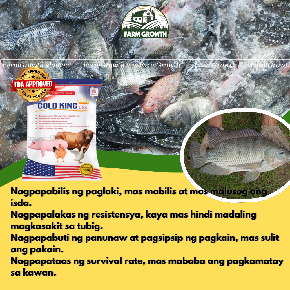 250G GOLDKING USA Growth booster feed, Fast weight gain and health ...