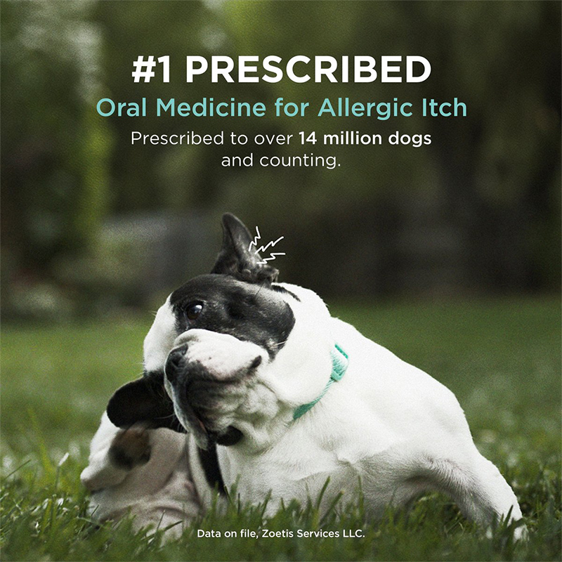 Apoquel 3.6/5.4/16mg Tablets for Dog Anti Itching & Allergy 1Tablet ...
