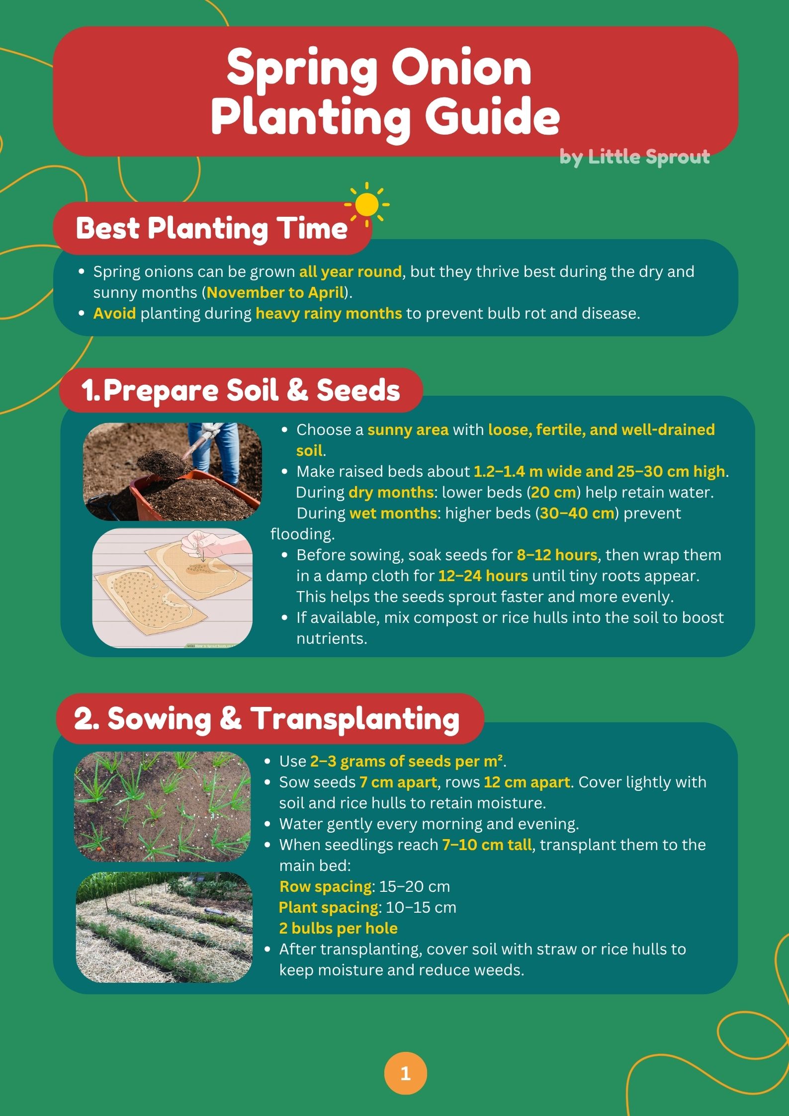 Spring Onion Seeds For Planting (Scallion Seeds) – Fast Growing, High ...