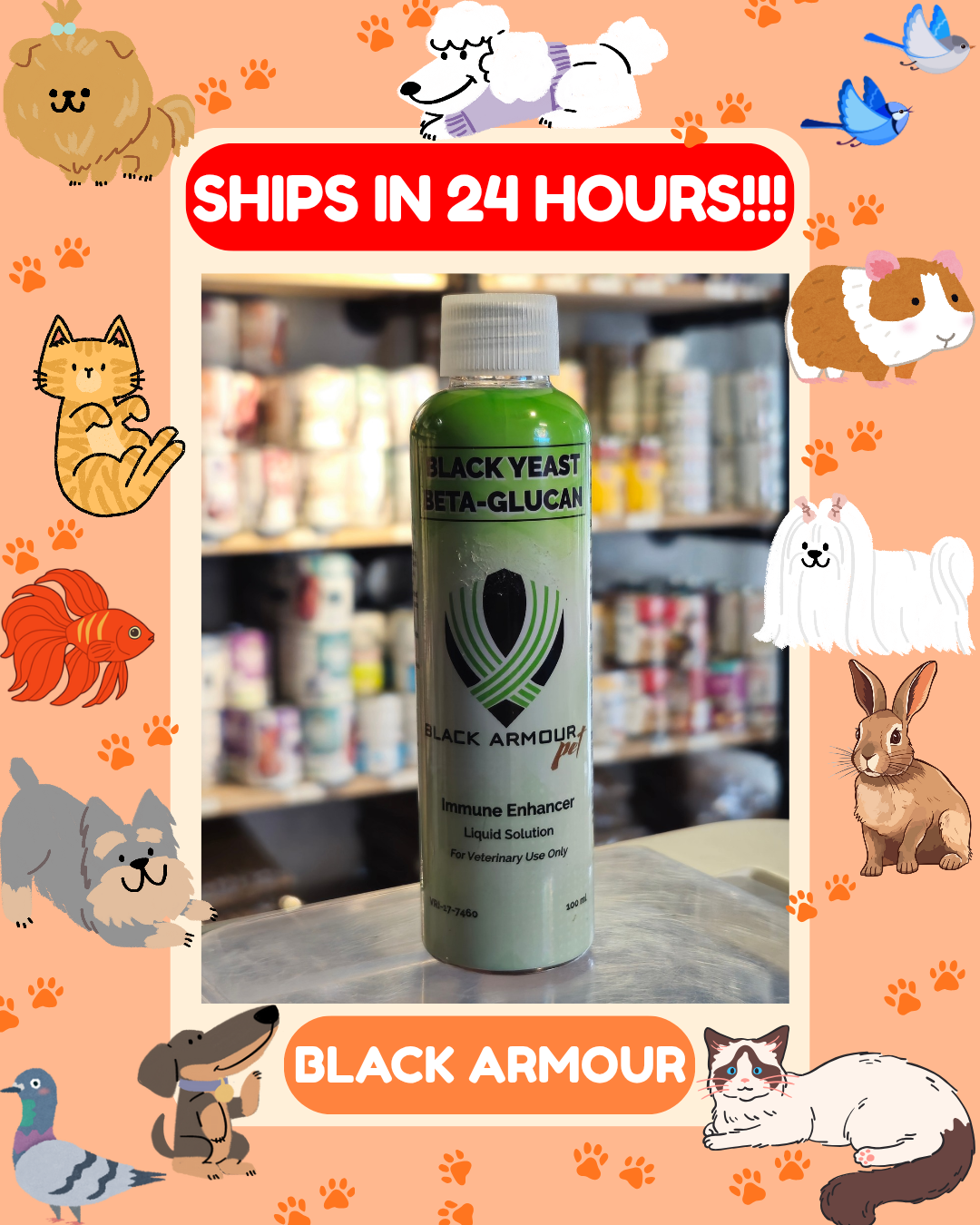 Black Armour 100ml - Black Yeast + Beta-Glucan - Immune Enhancer For ...