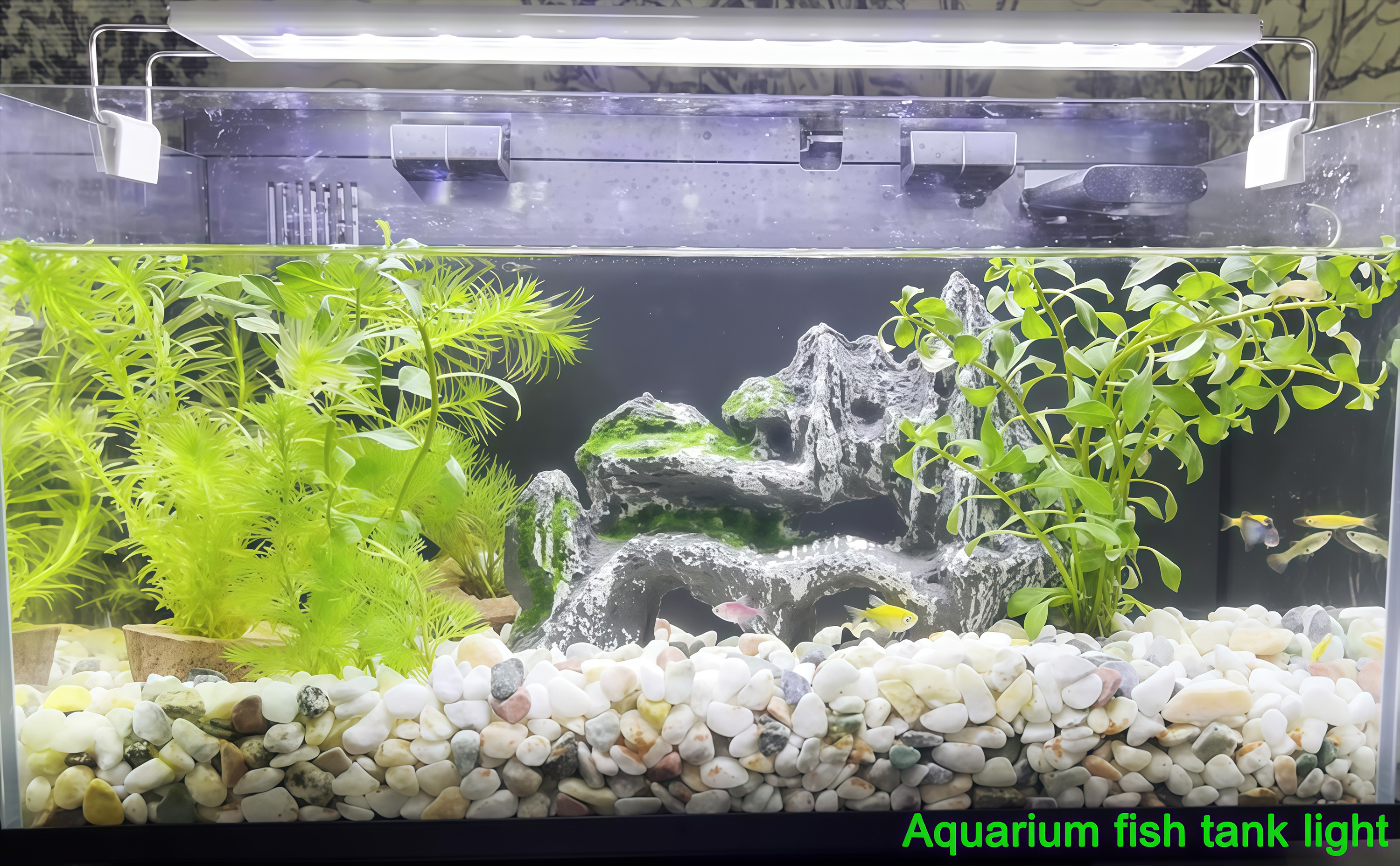 【CCS】Aquarium LED Light Aquatic Plant Lamp 20-100cm Tricolor Blue+White ...