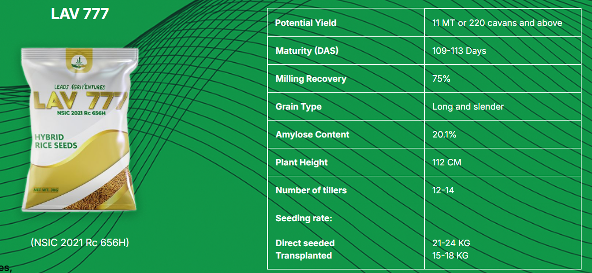 Leads - Hybrid Rice Seeds (3kg) | Shopee Philippines