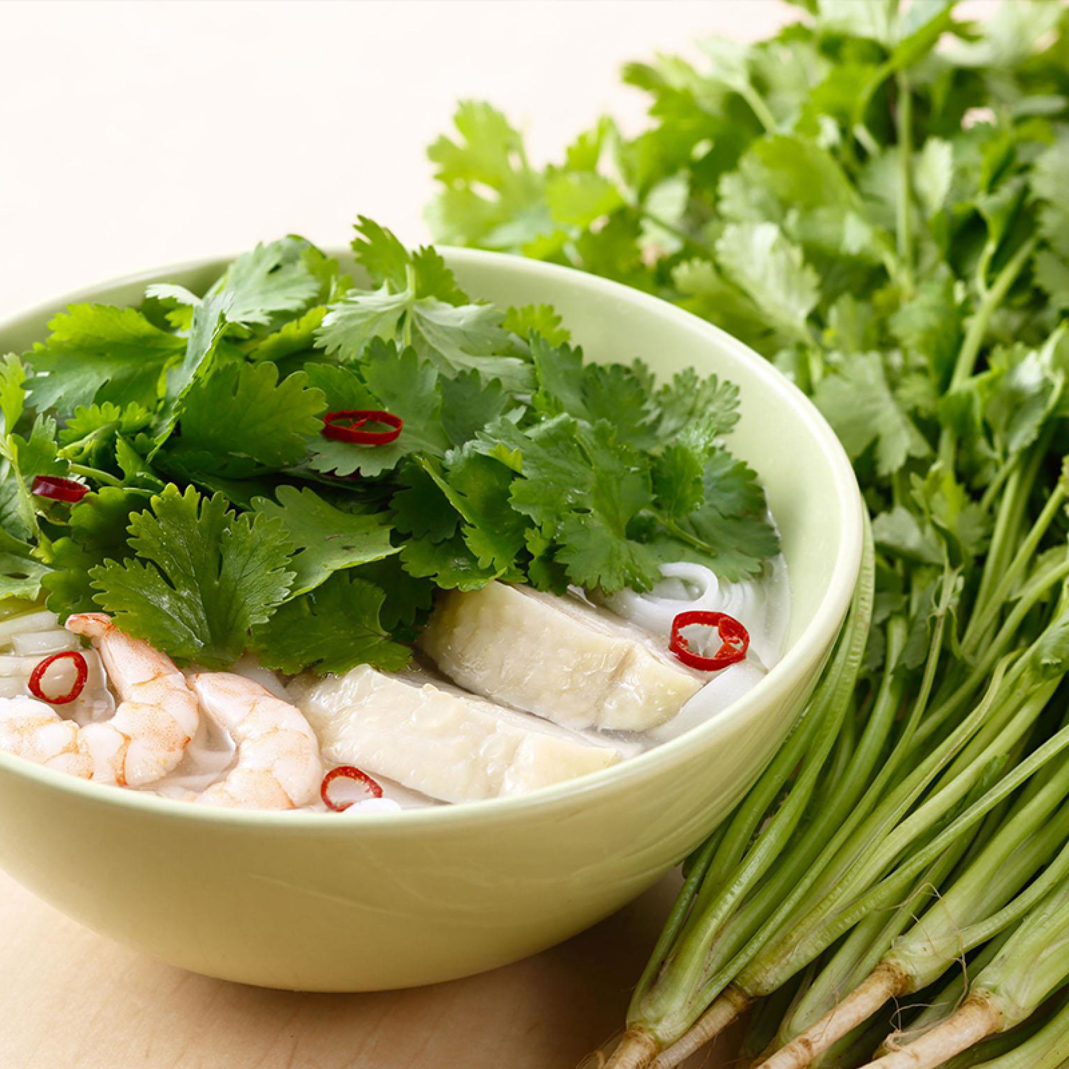 100 SEEDS/PACK CORIANDER / CILANTRO / WANSOY - HERBS SEEDS | Shopee ...