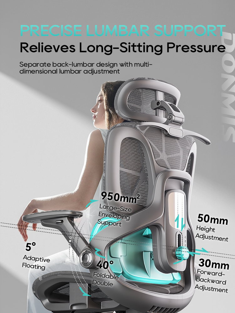 DONMIS 3D Lumbar Office Chair – Heavy-Duty Ergonomic Computer & Study ...