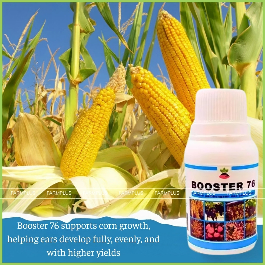 [ORGANIC] Booster 76 Liquid Flowering & Fruit Set Booster for Healthier ...