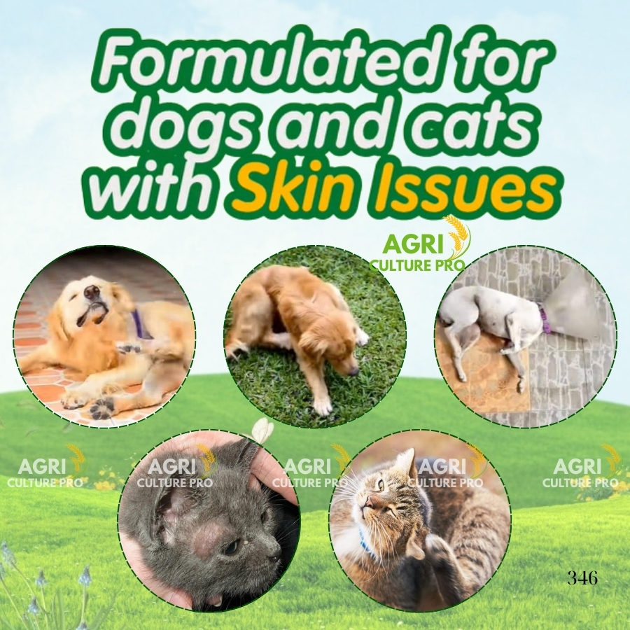 [SUPER SALE] Natural Pet Healing Oil | Reduces Redness & Inflammation ...