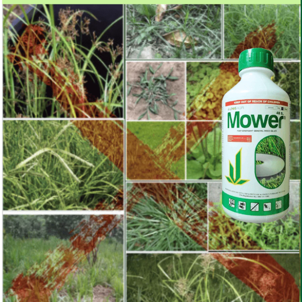 MOWER 480SL 1 Liter Herbicide Glyphosate by Leads Agri | Shopee Philippines