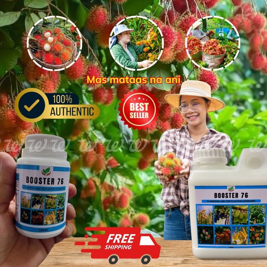 Booster 76 500ml–Organic Fertilizer for Plantations, Strong Flowering ...