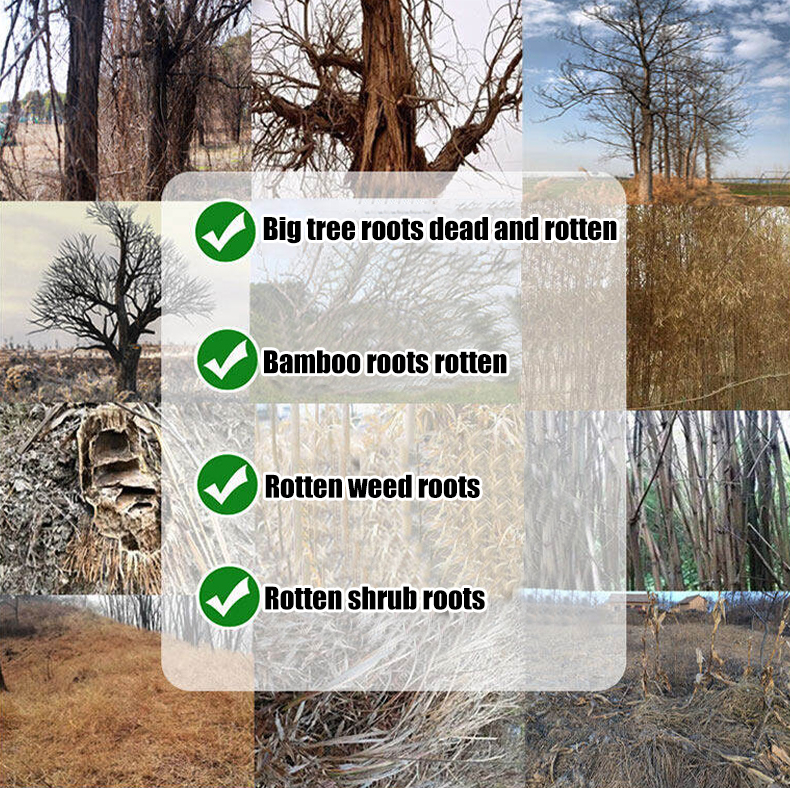 Tree killer Grass killer 1000ml Root Removal Kill Tree Bamboo Killer ...