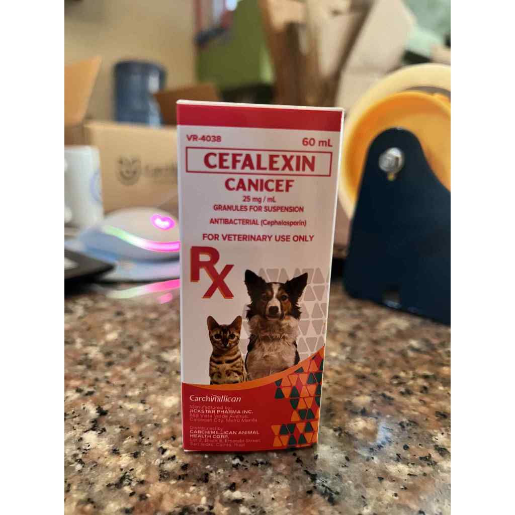 Canicef-Cefalexin Syrup Carchimillican | Shopee Philippines