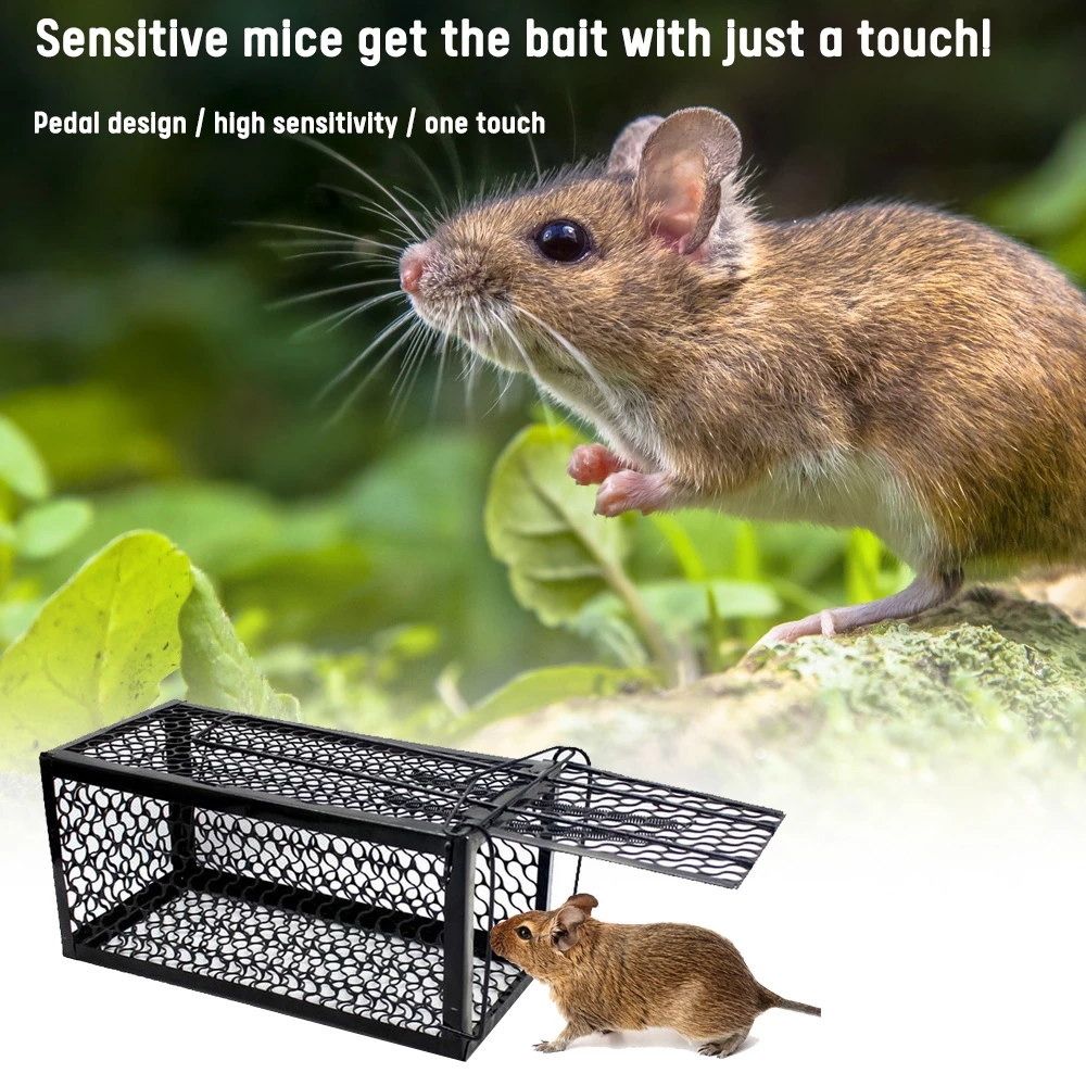 【Original】Super Useful Live Rat Trap Rat Cage Rodent Trap Mouse Pest ...
