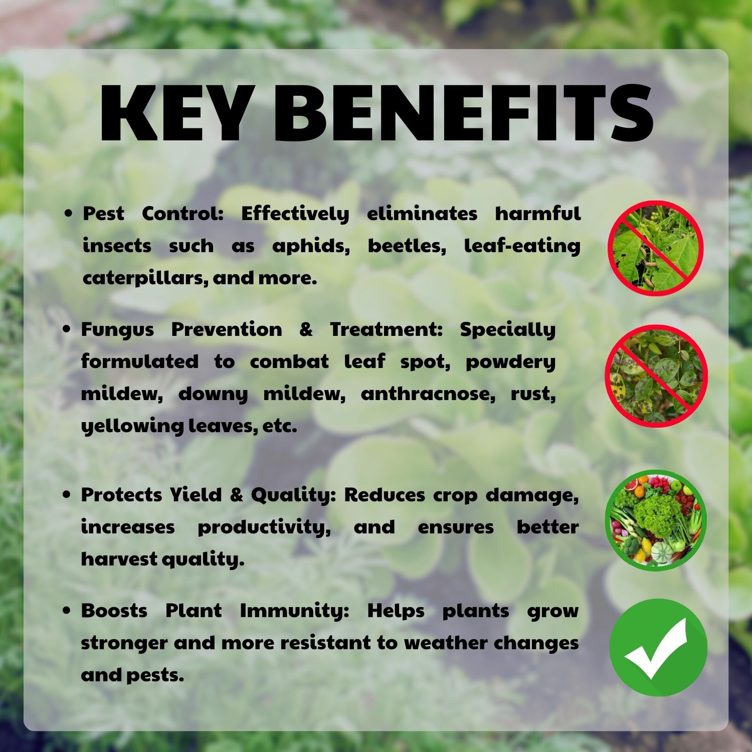 FARMGUARD 2-IN-1 ORGANIC INSECTICIDE & FUNGICIDE [ FARM GUARD Premium ...