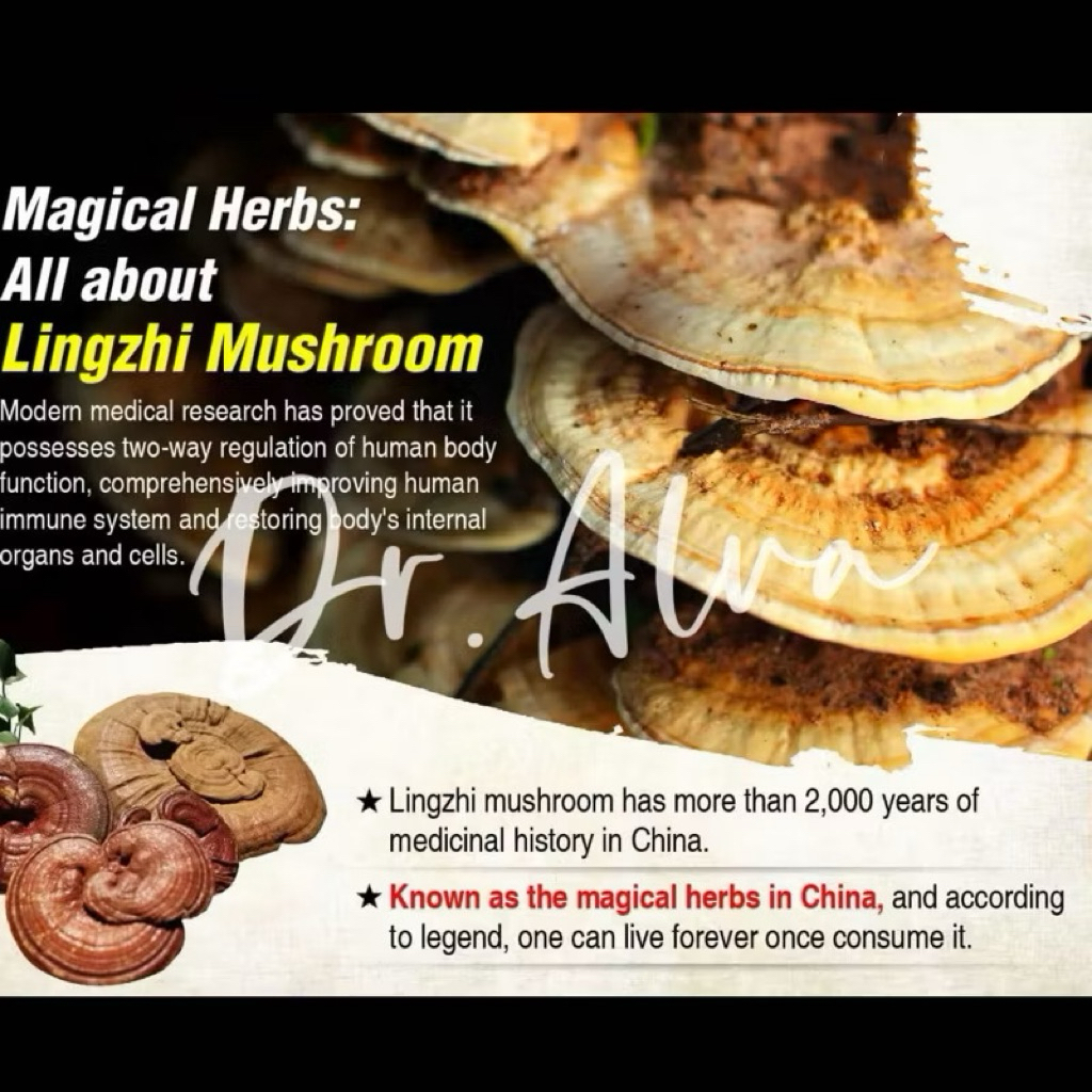 Original Lin-zi vitamins white bottle (30 pcs) COD | Shopee Philippines