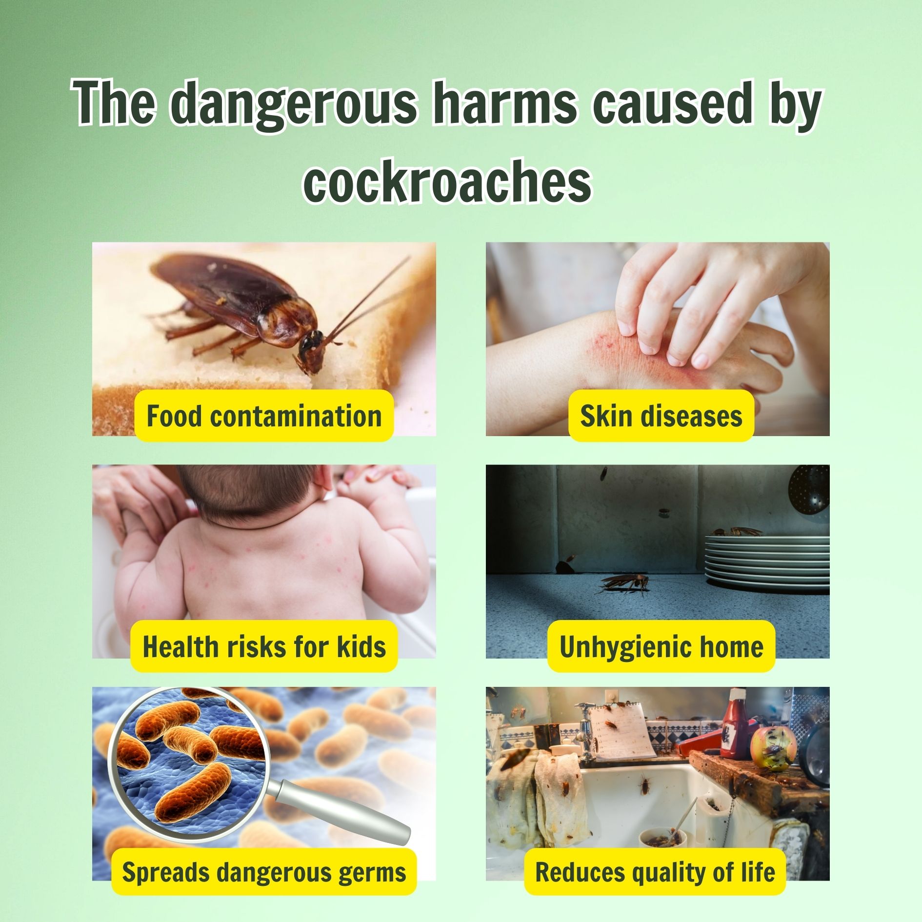 Cockroach Killer For Home AMB Biological Tablets Root Elimination of ...