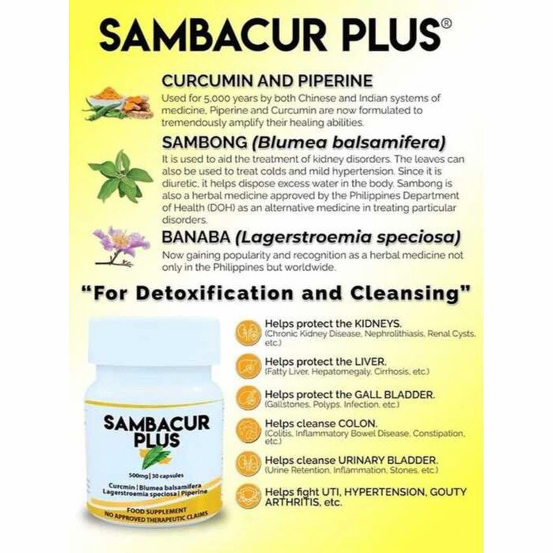 [The globaleader] SAMBACUR PLUS - Curcumin, Sambong, Banaba And ...