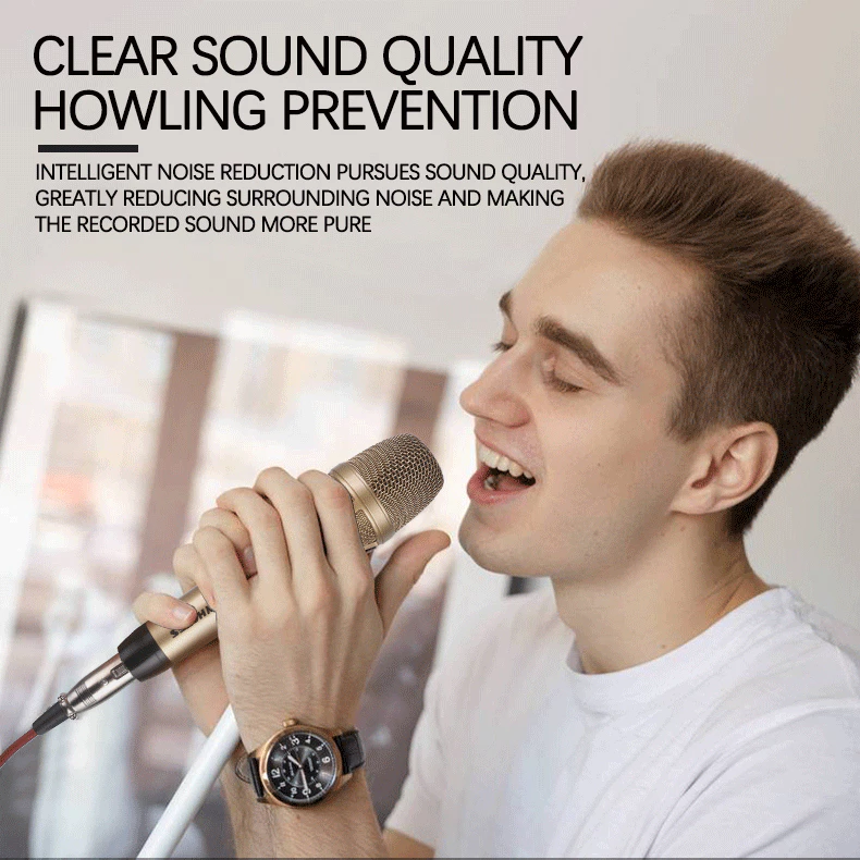 JBL DM88S Professional Dynamic Wired Microphone for Karaoke, Videoke ...