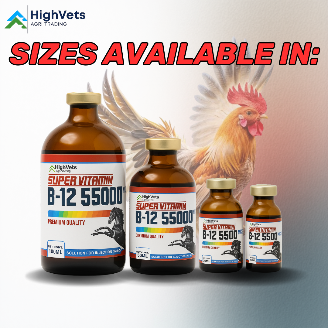 SUPER VITAMIN B12 With Liver Exract Gamefowl Conditioning, Chicken and ...