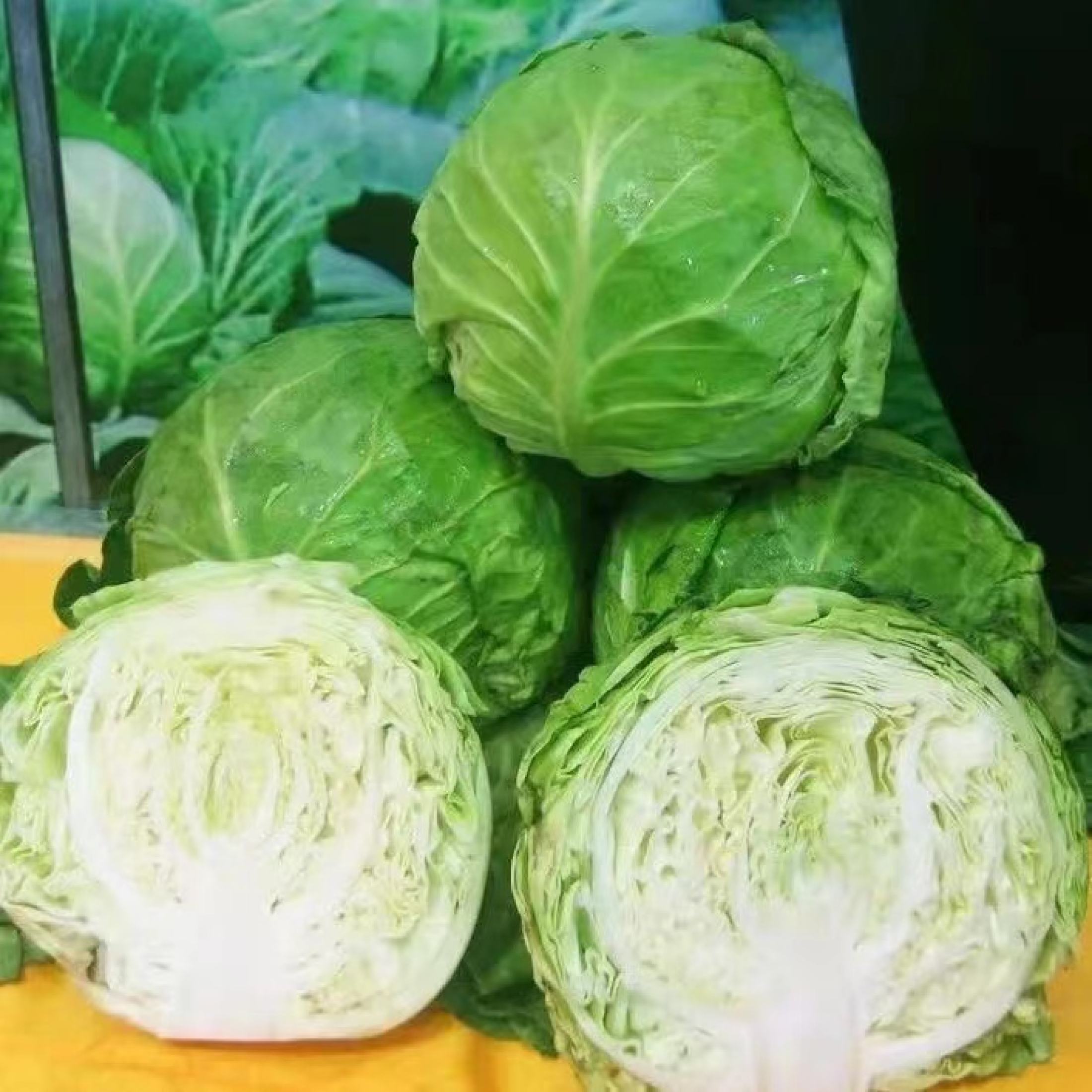 REPOLYO / CABBAGE SEEDS -（100seeds）HYBRID/HIGH YIELD/EASY TO GROW ...