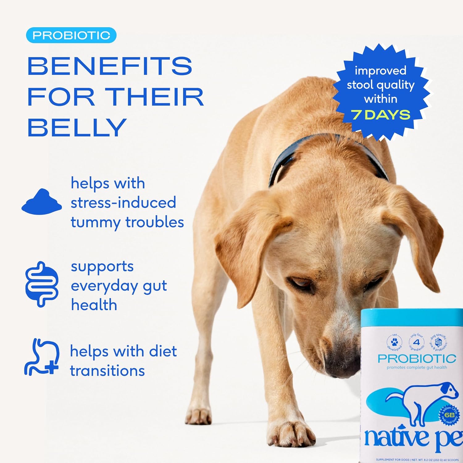 Native Pet Probiotic for Dogs Promotes Complete Gut Health Supports ...