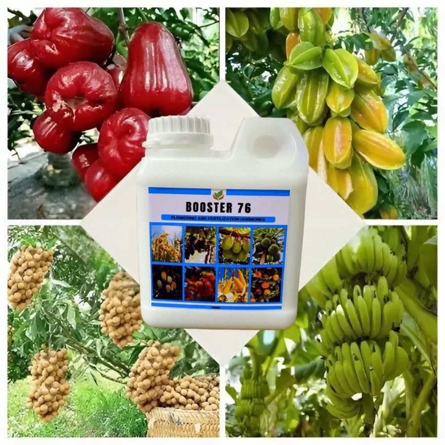 [BEST PRICE] Booster 76 500ML Flower Booster – Improve Flower Set for ...