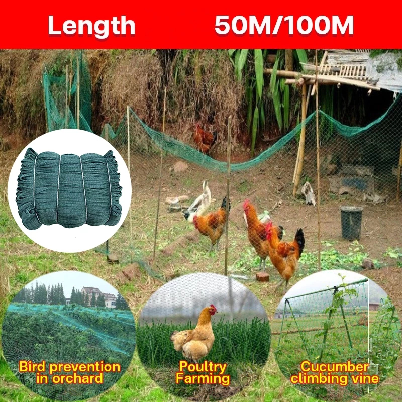 【Free Rope】Fish Net for Chicken Net 100 Meters 8ft Lambat Fishing Net ...