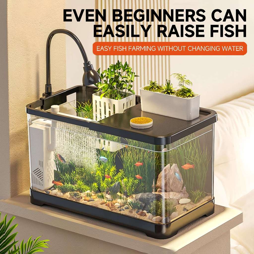 Papapet Betta Fish Tank Kit All-in-One Small Aquarium with Filter Light ...