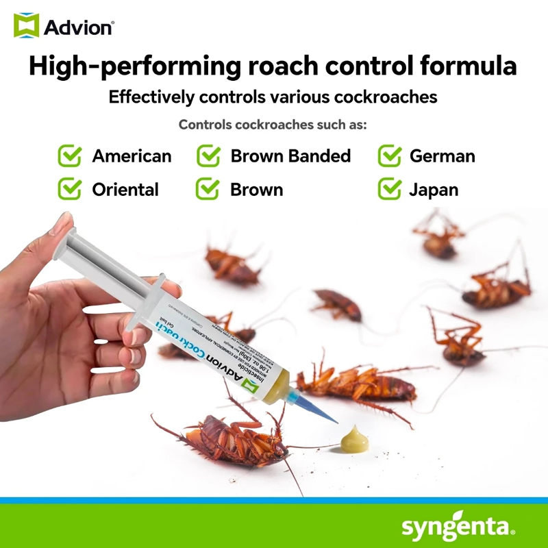 Hot Selling Advion 30g Cockroach Gel Bait with Indoxacarb for High ...