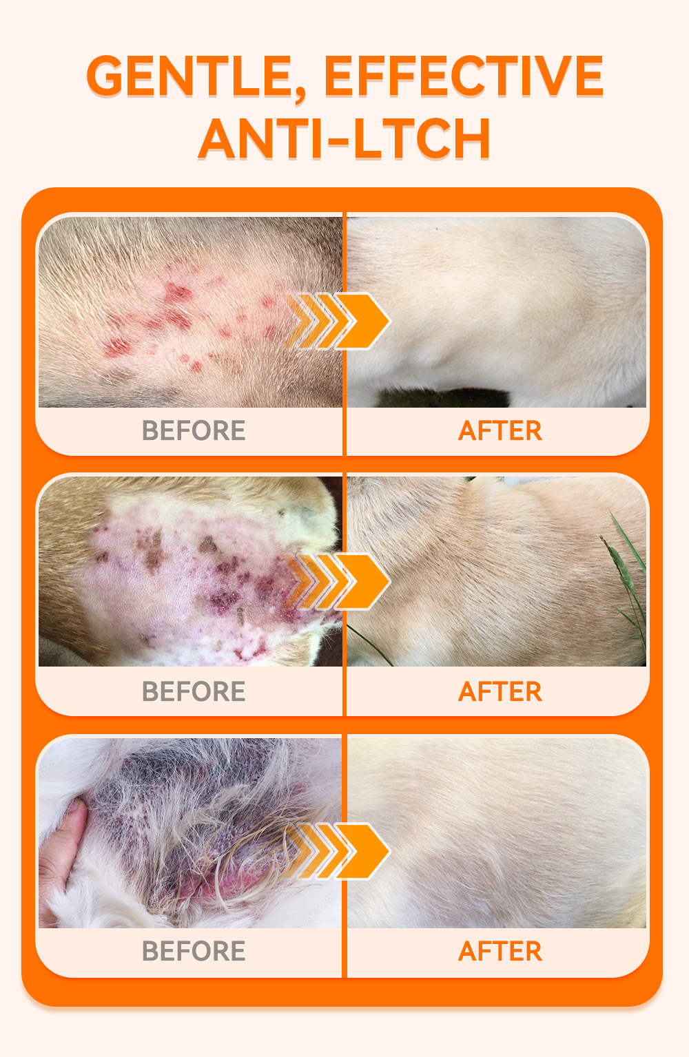 PUAINTA Anti Fungal Cream Ointment for Dog and Cat Ringworm Anti ...