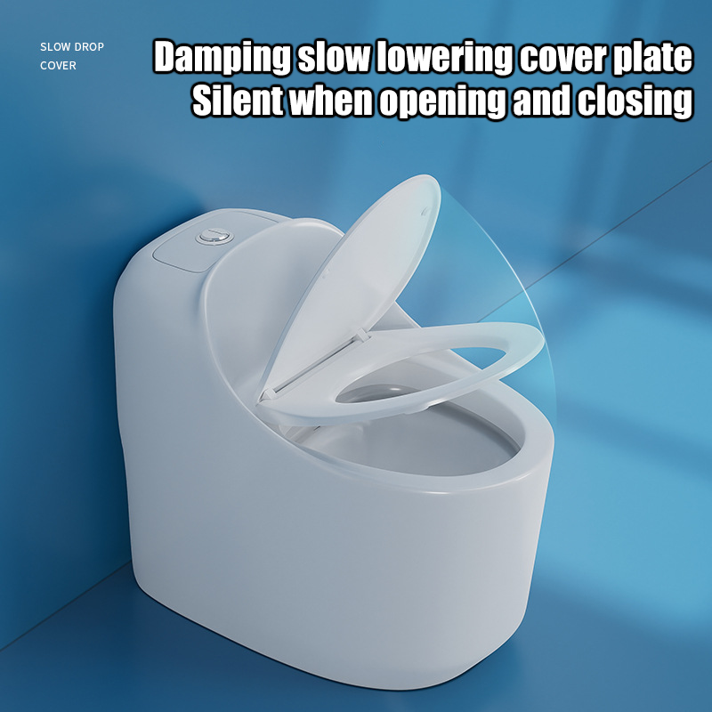 Water Closet | Household Toilet | Siphon Flushing | Water Closet Toilet ...