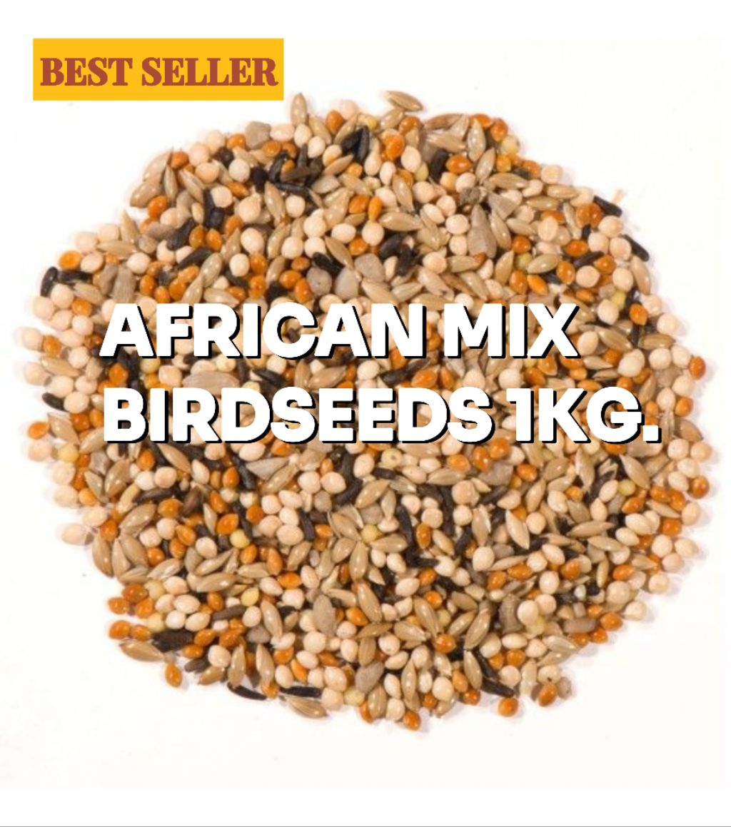 African Mix Bird Seeds 1KG – Natural Bird Food for Parrots, Lovebirds ...