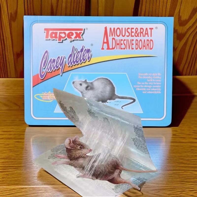 10Pcs Sticky Mouse Trap Non Toxic Glue Board Super Strong Adhesive for ...