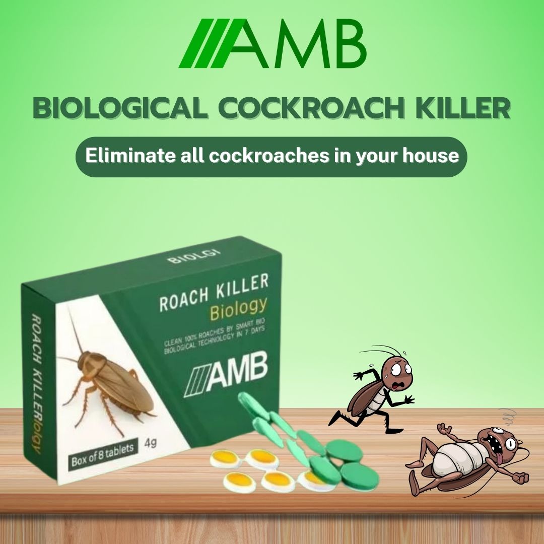 AMB Biological Cockroach Killer Gel For Home Long Lasting Effect Fast ...