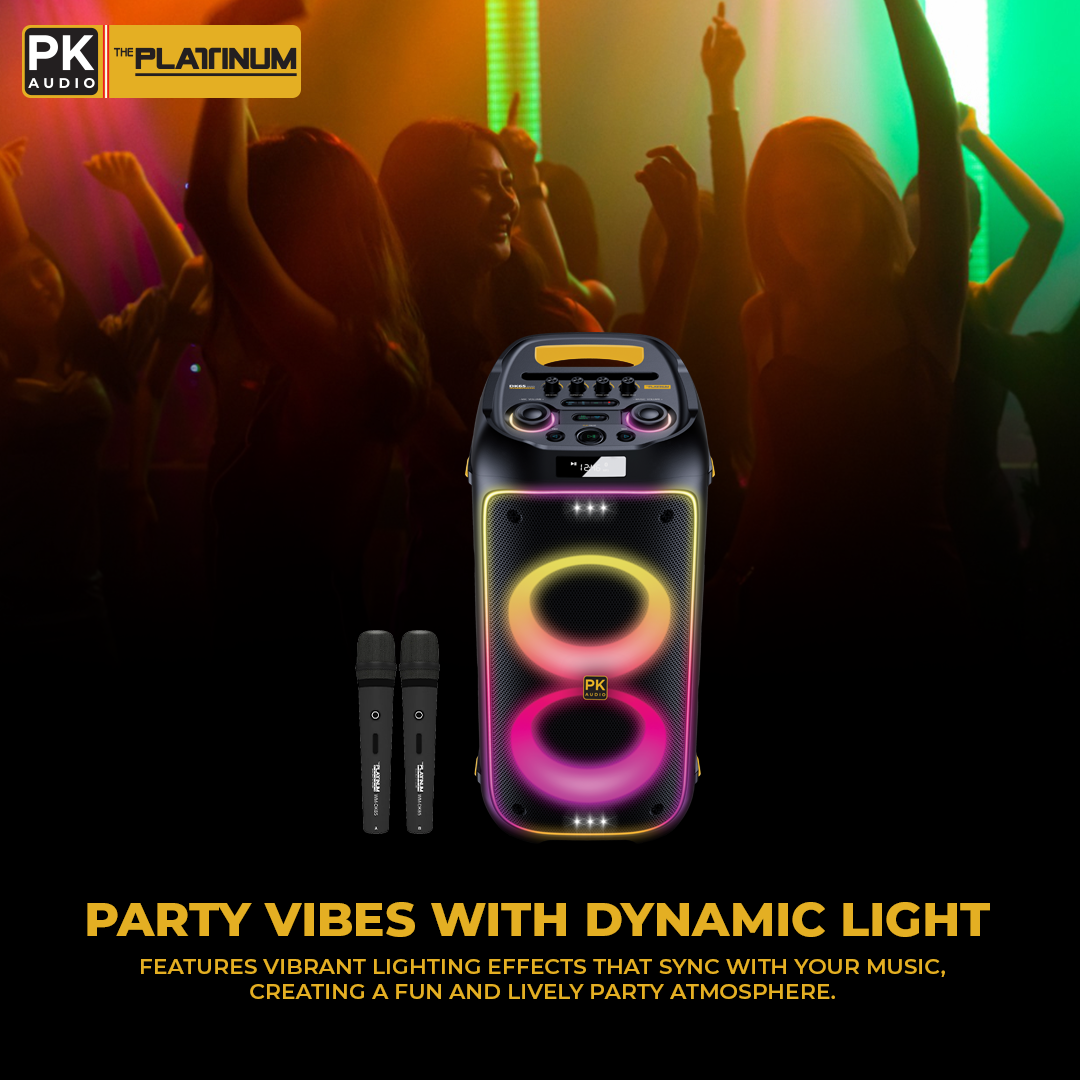 Platinum Karaoke DK65 Duo Party Jukebox Karaoke and Music Bluetooth ...