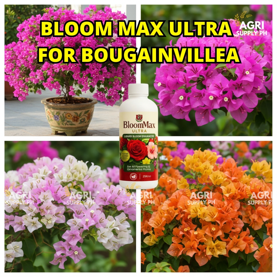 [ BEST PRICE ] Bloom Max Ultra – Organic Fertilizer for Healthy ...