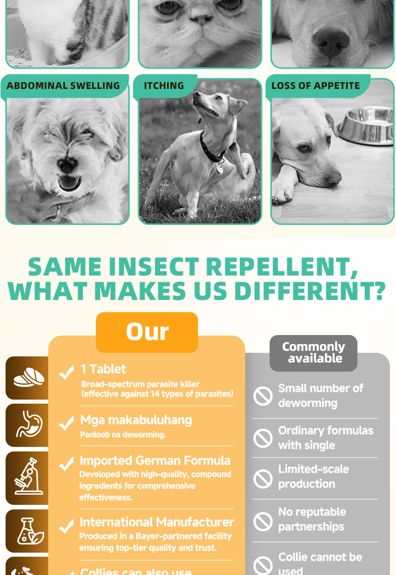 Hegen Pet Deworming Tablets For Worm Rid Heartworm Nematodes Deworm ...