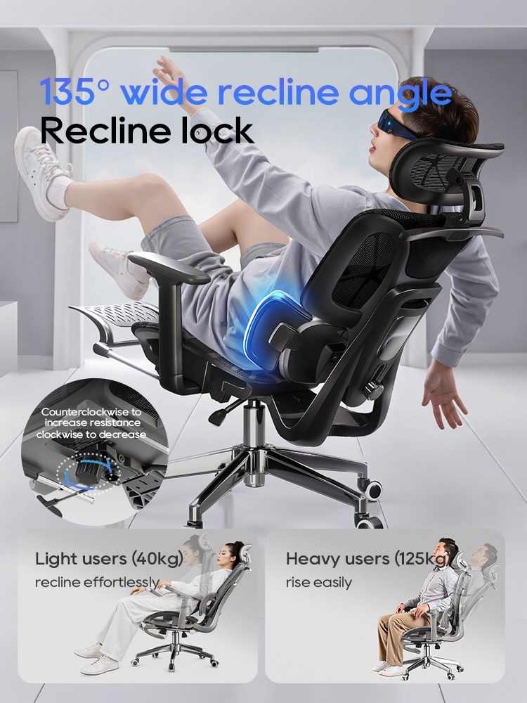 XPANSE X-904 Ergonomic Office Chair Knob-Lumbar Computer Study Chair ...