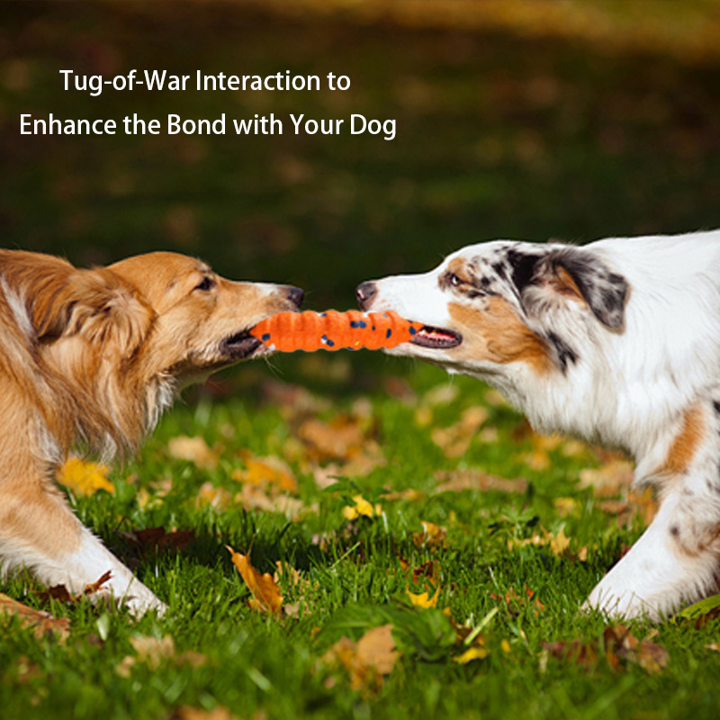 Dog Frisbee: Bite-Resistant, Specialized for Dog Training, a Pet Flying ...