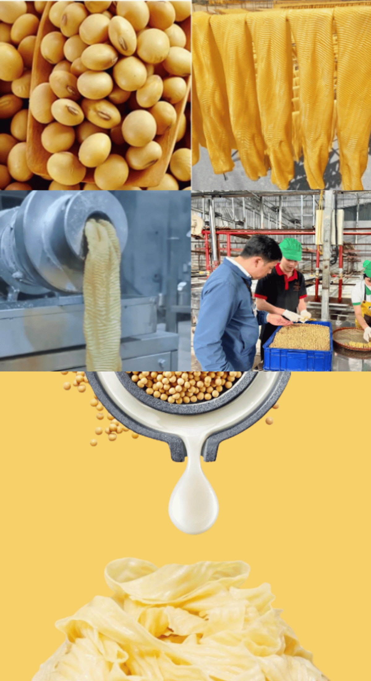 BUY 1 TAKE 1 Plant-Based Tofu Skin Strips – Nutritious & Family ...