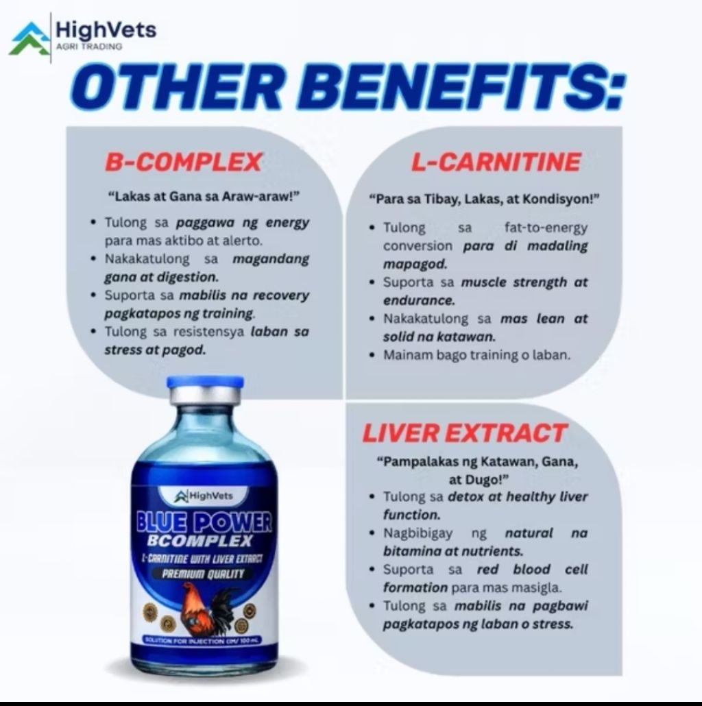 BLUE POWER B COMPLEX w/ L Carnitine and Liver extract,Gamefowl-Pigeons ...