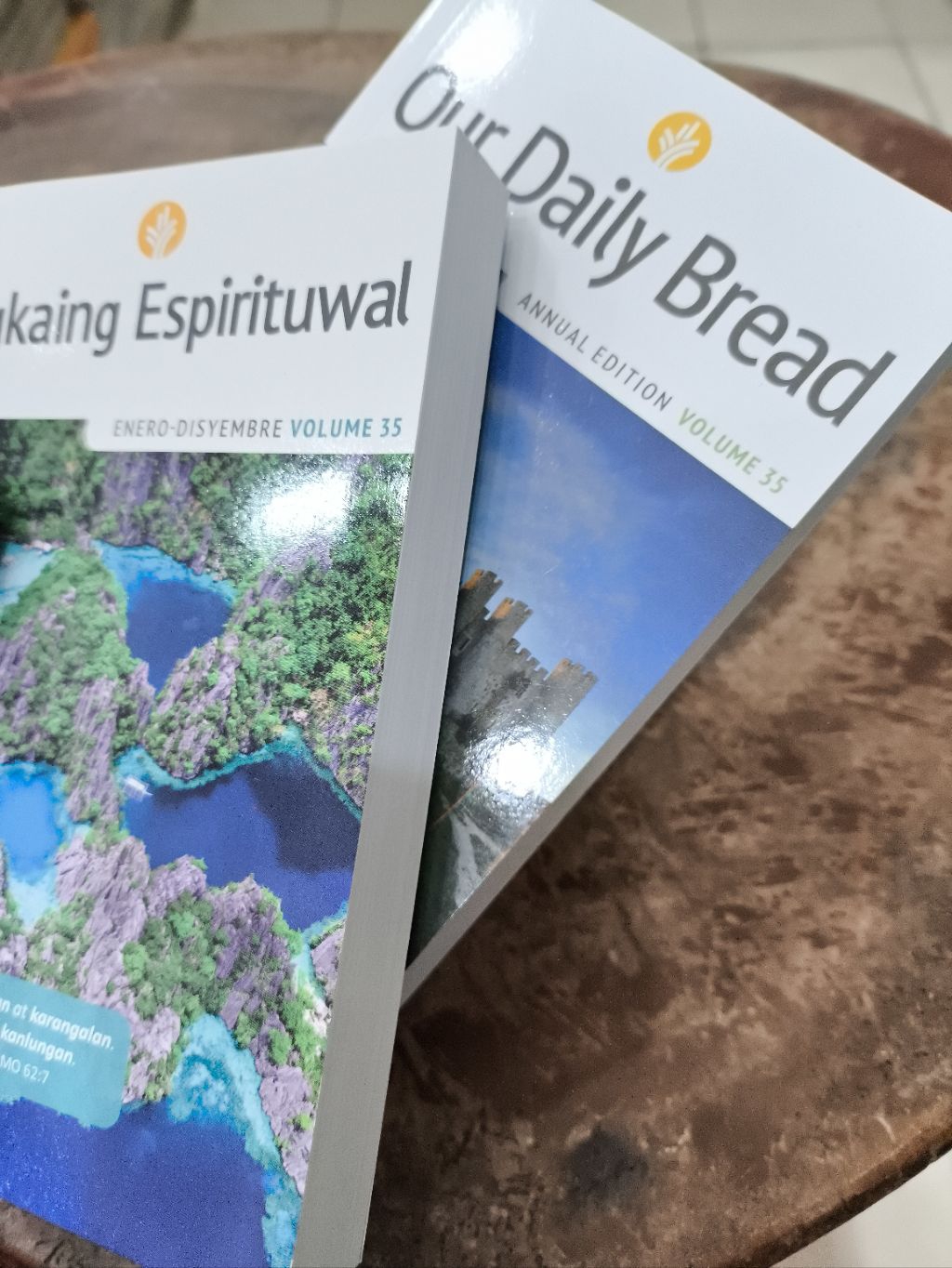 OUR DAILY BREAD 2026 (ODB) - TAGALOG & ENGLISH /ANNUAL DEVOTIONAL MINI ...
