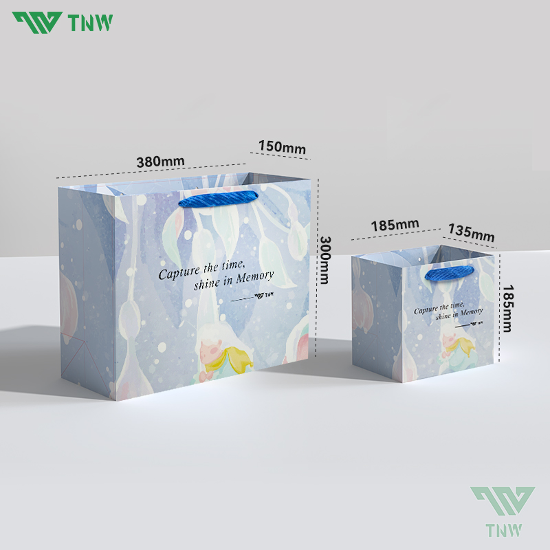 TNW Paper Bag Birthday Gift Bag Flowers Paper Gift Bags Handle Handbag ...