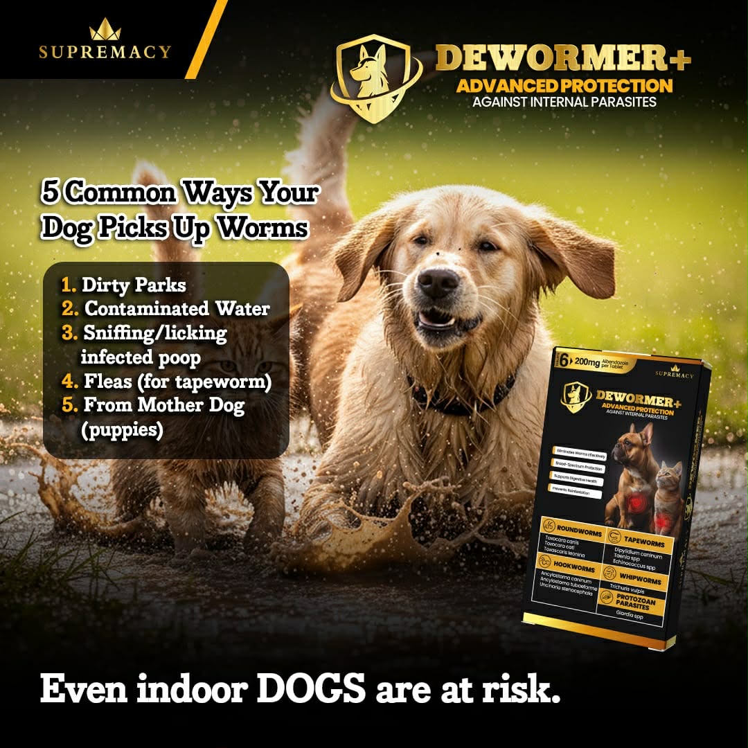 Supremacy Dewormer+ Chewable Tablets for Dogs & Cats– Eliminates ...