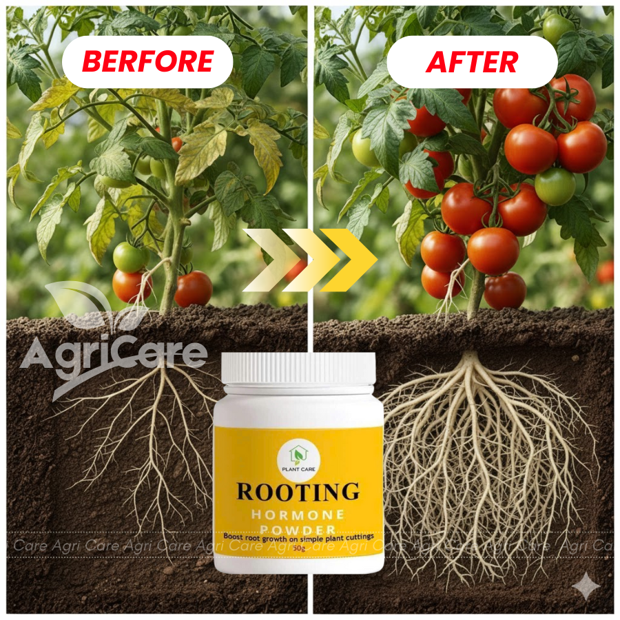 [HOT DEAL] Premium Rooting Hormone Powder 50G – Faster & Stronger Root ...