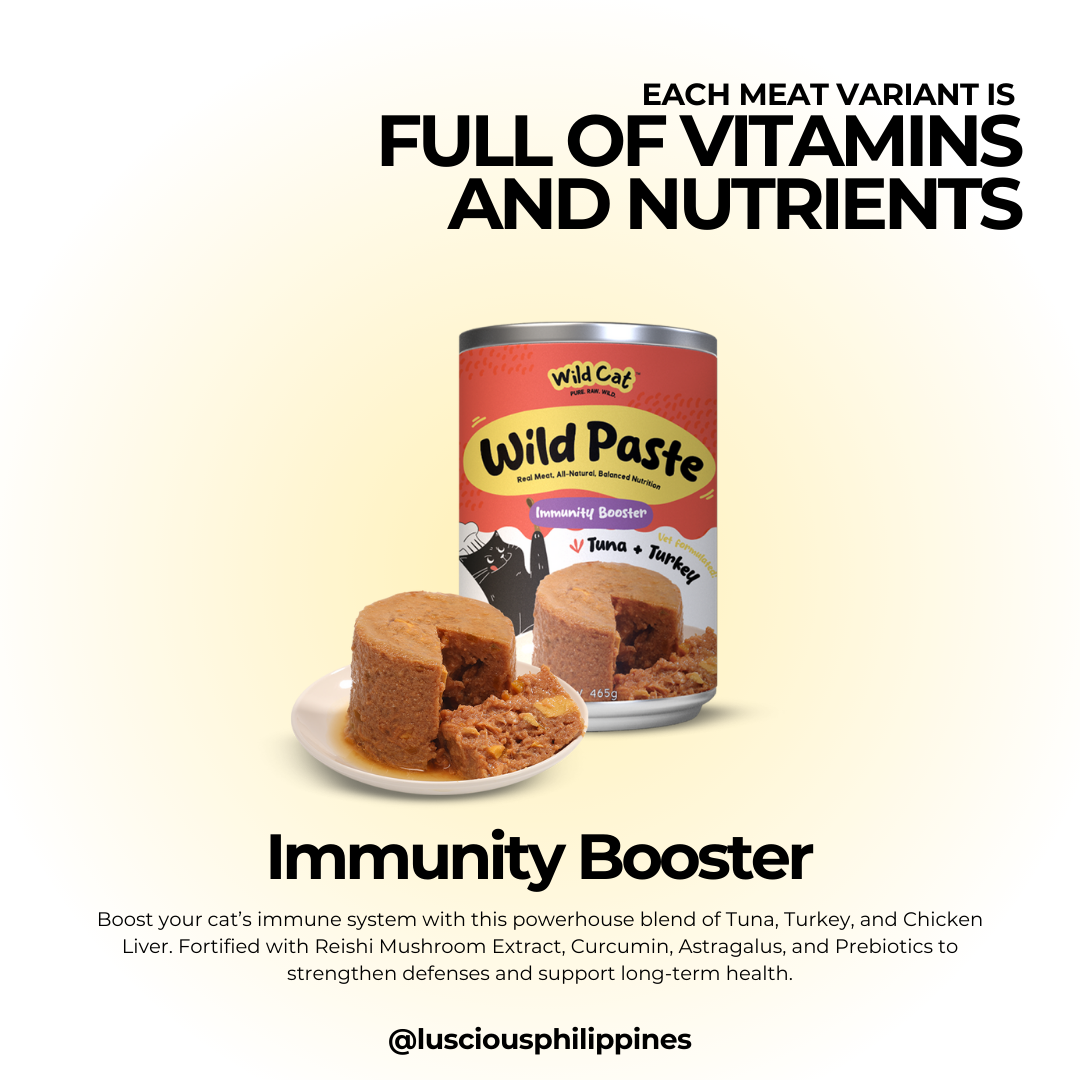 Wild Cat Premium Wild Paste Cat Wet Food Can Organic Cat Wet Food Meal ...