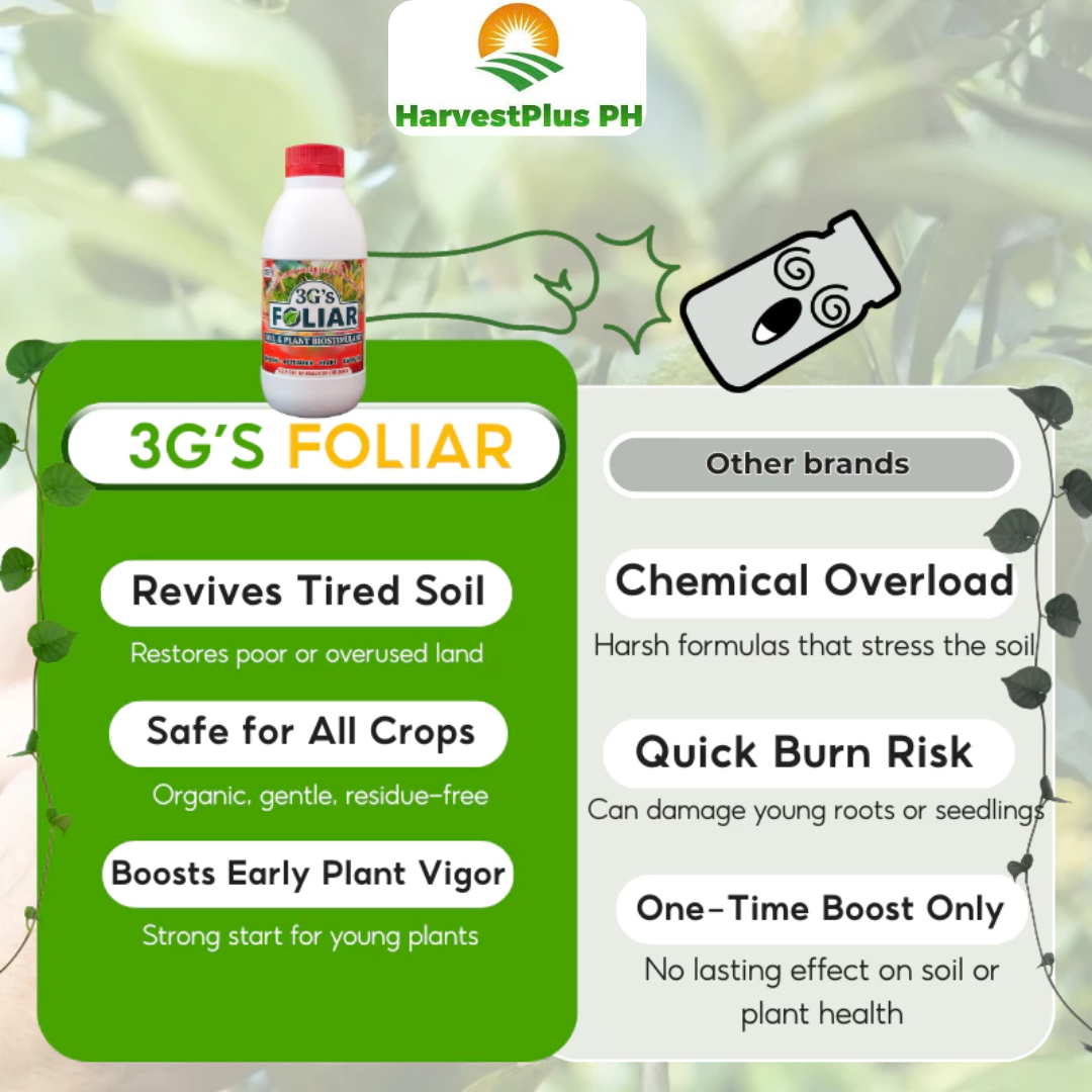 3gs foliar organic liquid all in one fertilizer-250ml/500ml | Shopee ...