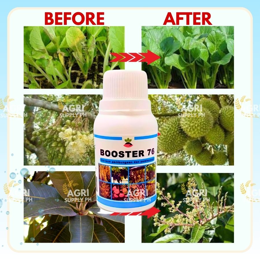BOOSTER 76 Organic Growth Enhancer – Boosts Roots, Flowering & Higher ...