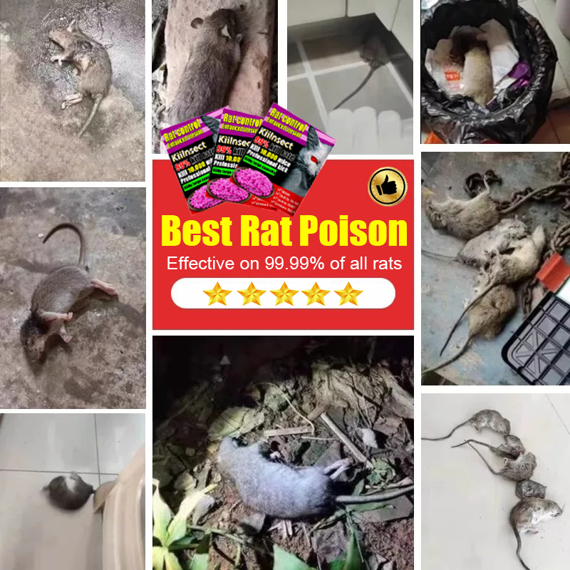 No rats all year round 200g Remove mice rat killer rodenticide rat ...